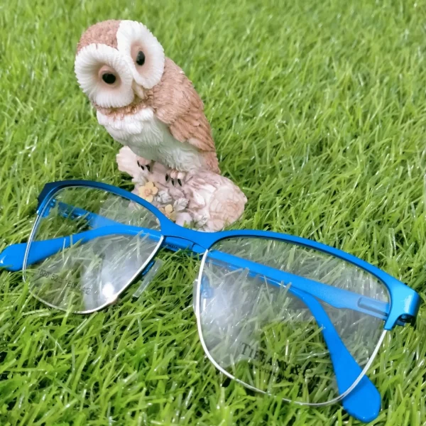 TIFFANY & Co model – Eyezone Optics